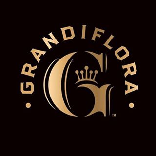 YAHEMI BY GRANDIFLORA GENETICS