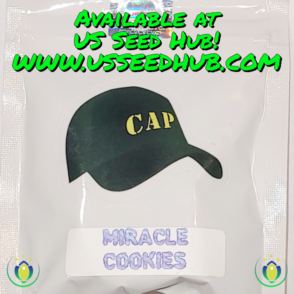 MIRACLE COOKIES BY CAPULATOR (Limited) - US Seed Hub