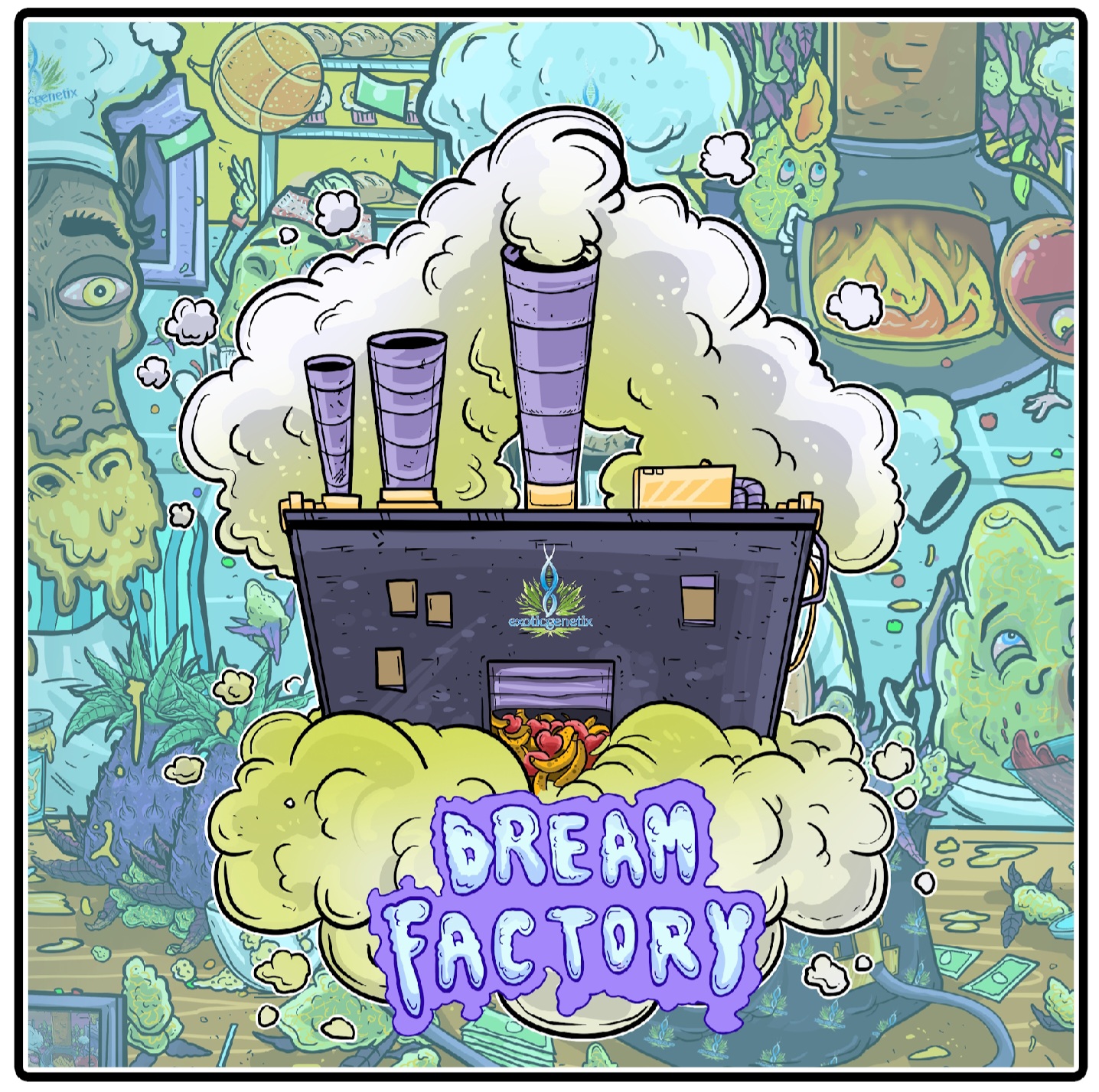 EXOTIC GENETIX DREAM FACTORY FEMS