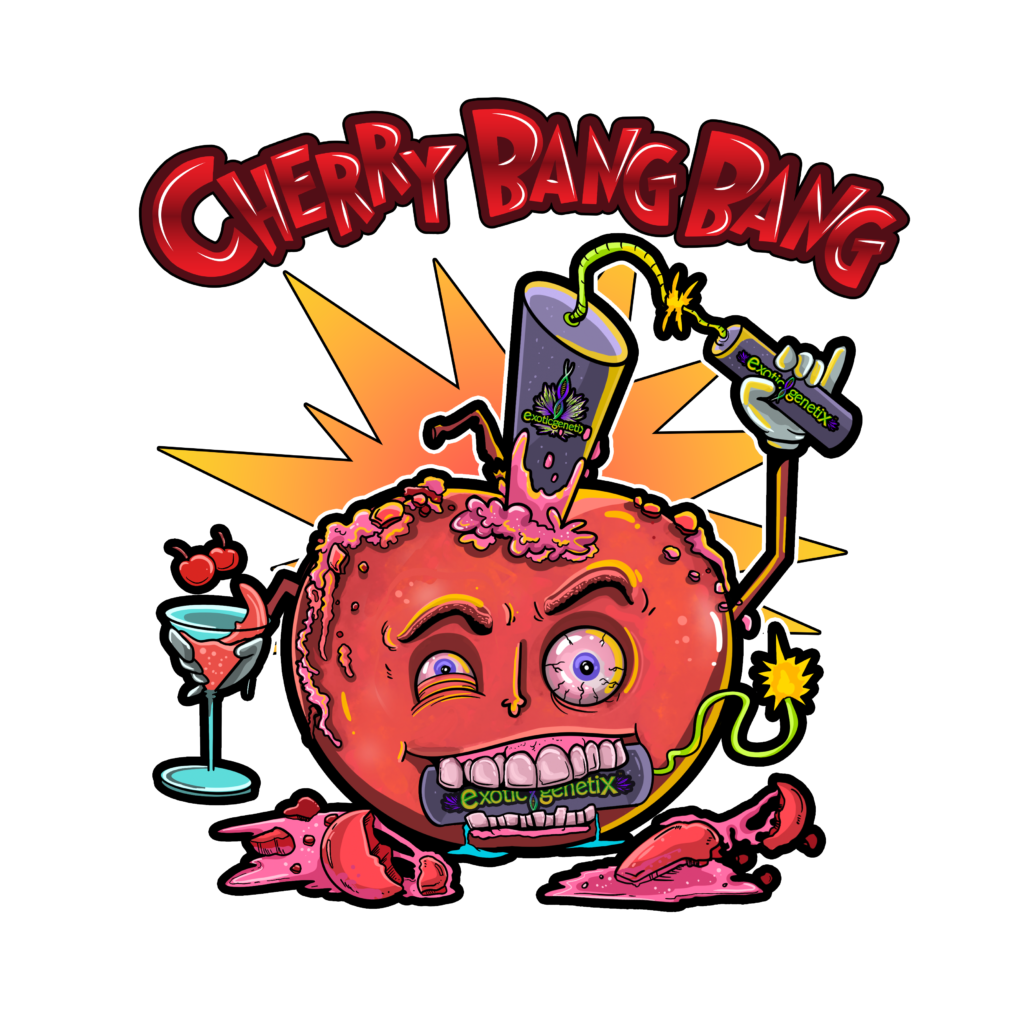 EXOTIC GENETIX RED RUNTZ RELOADED LIMITED EDITION SIX PACK BOX FEMS