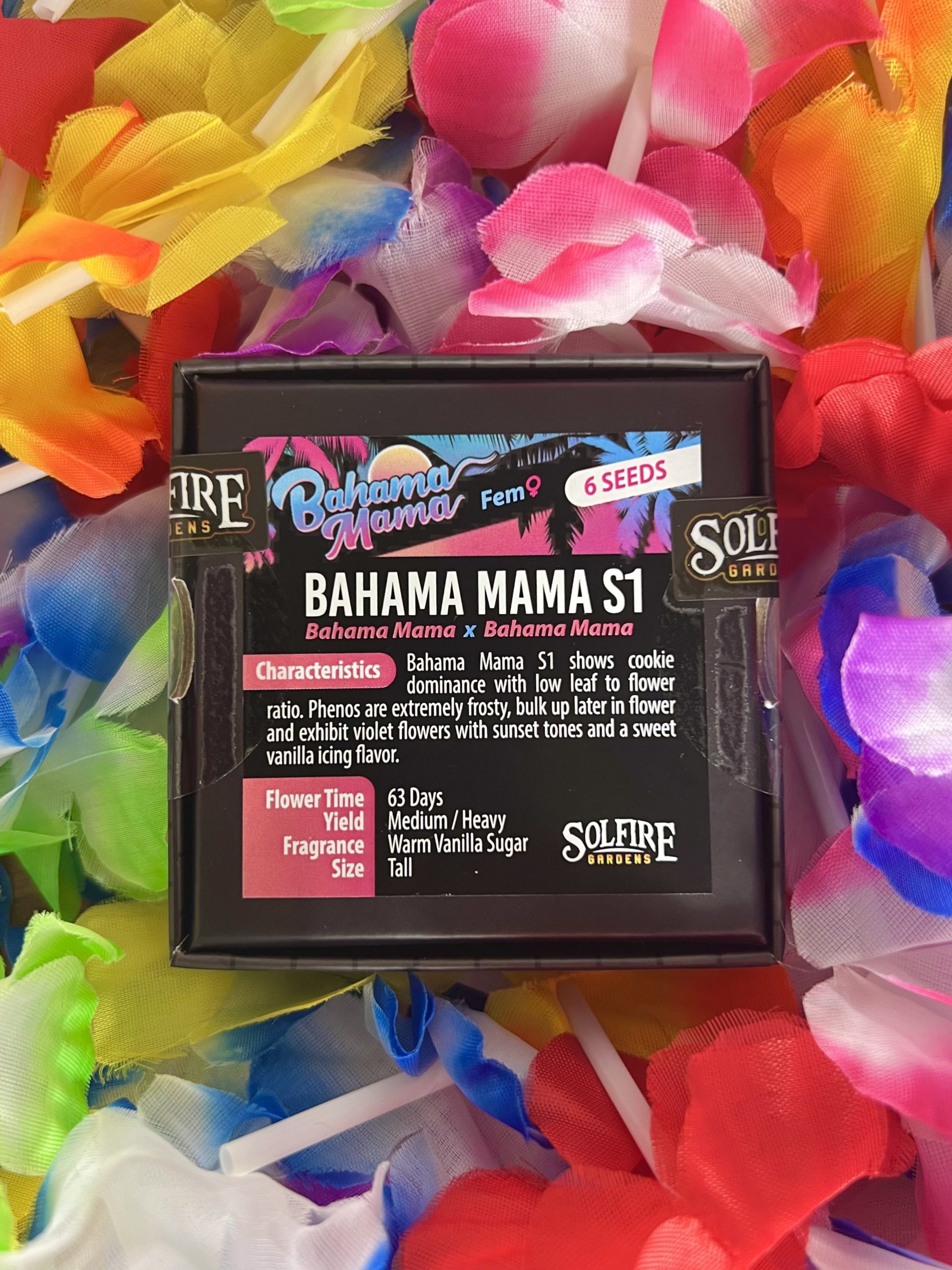 BAHAMA MAMA S1 BY SOLFIRE GARDENS - Plant A Seed With Us!