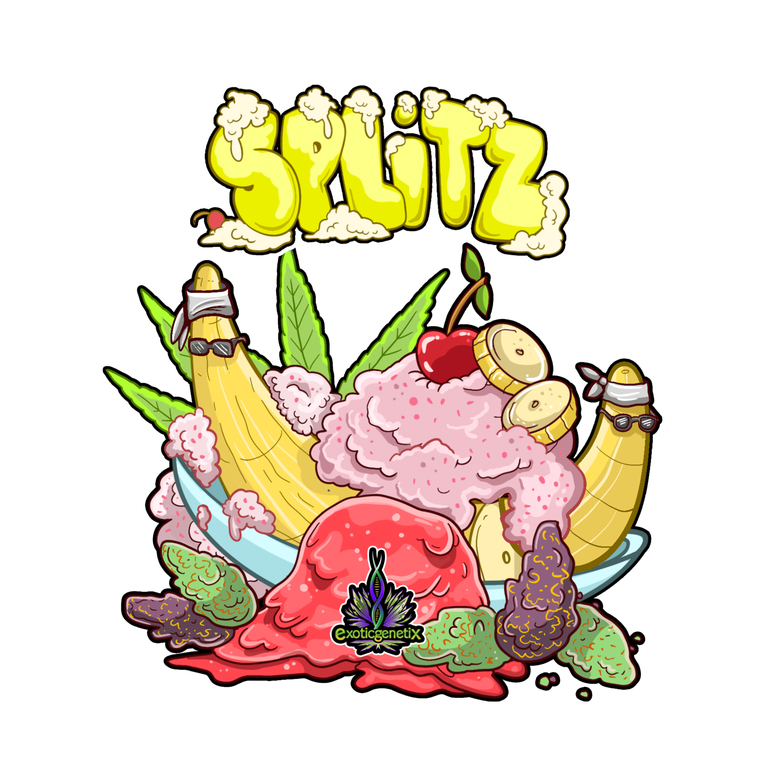 EXOTIC GENETIX RED RUNTZ RELOADED LIMITED EDITION SIX PACK BOX FEMS US ...