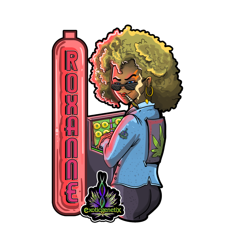 Exotic Genetix - Red Runtz Reloaded Vol. 2 Six Pack Fems In Stock