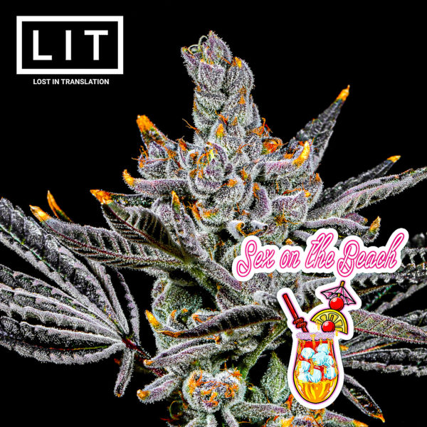 Sex On The Beach By Lit Farms Includes Freebie Pack