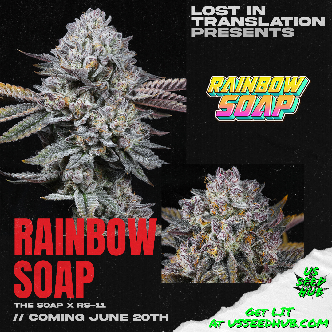 RAINBOW SOAP FULL PACK BY LIT FARMS *Includes Freebie Pack*