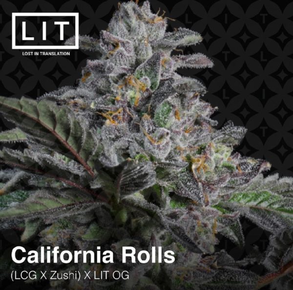CALIFORNIA ROLLS FULL PACK BY LIT FARMS *Includes Freebie Pack*