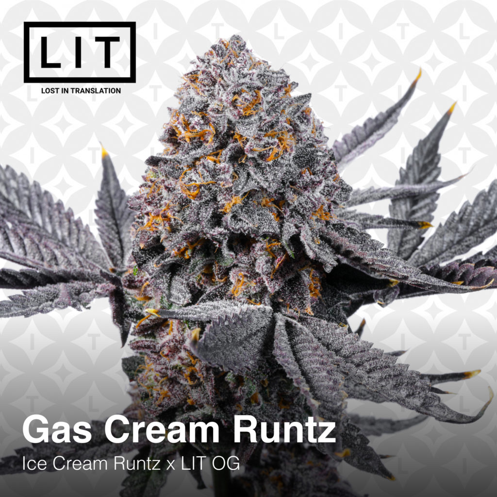 GAS CREAM RUNTZ BY LIT FARMS *Includes Bonus Pack*