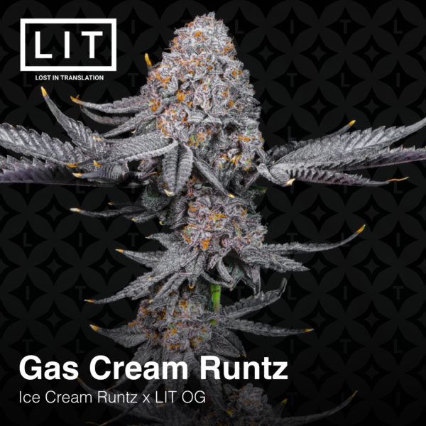 GAS CREAM RUNTZ BY LIT FARMS *Includes Bonus Pack*