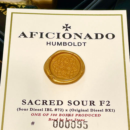 SACRED SOUR F2 BY AFICIONADO ESTATES